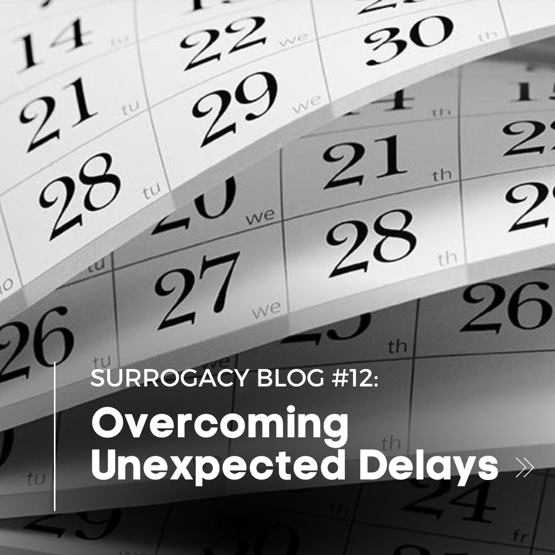 Blog 12: Overcoming unexpected delays | Northwest Surrogacy Center